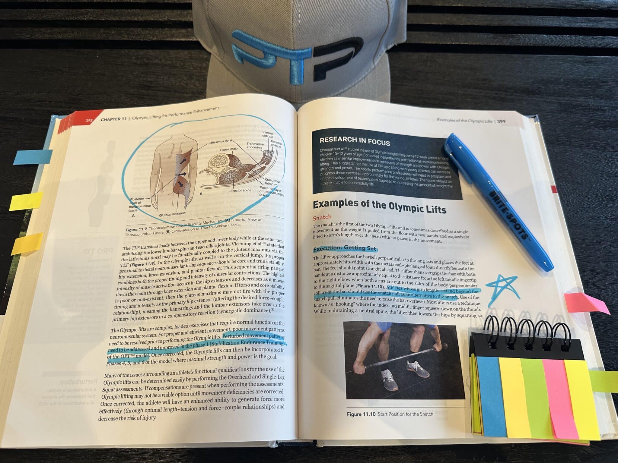 NASM Performance Enhancement Specialist Review (2024)