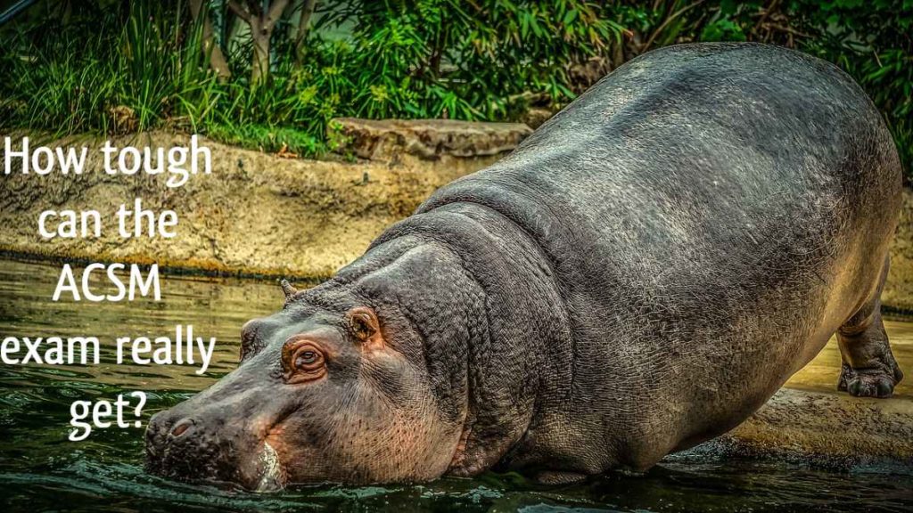 ACSM Exam Info - Pass Rate, Costs, and More