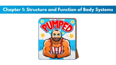 CSCS Chapter 1: Structure and Function of Body Systems