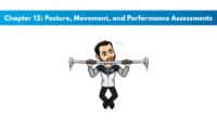 NASM CPT 7th Edition Chapter 12: Posture, Movement, and Performance ...
