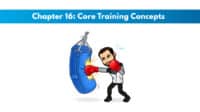 NASM CPT 7th Edition Chapter 16: Core Training Concepts