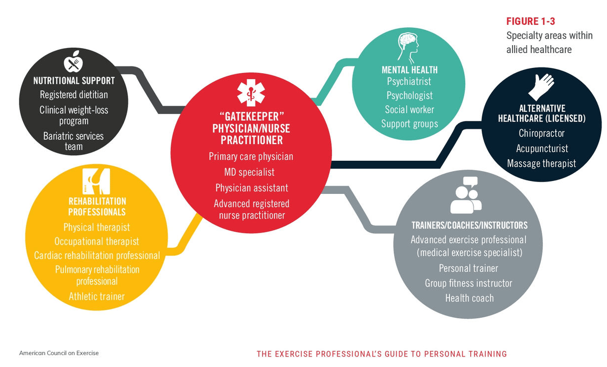 ACE Certification Review: Is This PT Cert Worth It?