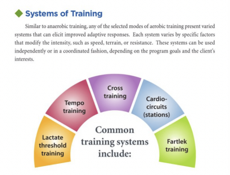 NCSF Certification Review: How Does It Compare?