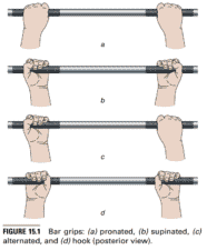 2024 CSCS Certification Review - is the CSCS Worth It?