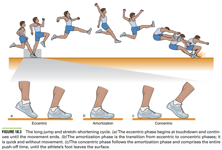 2024 CSCS Certification Review - is the CSCS Worth It?