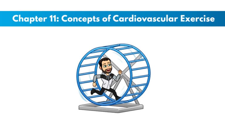 ISSA Chapter 11: Concepts of Cardiovascular Exercise