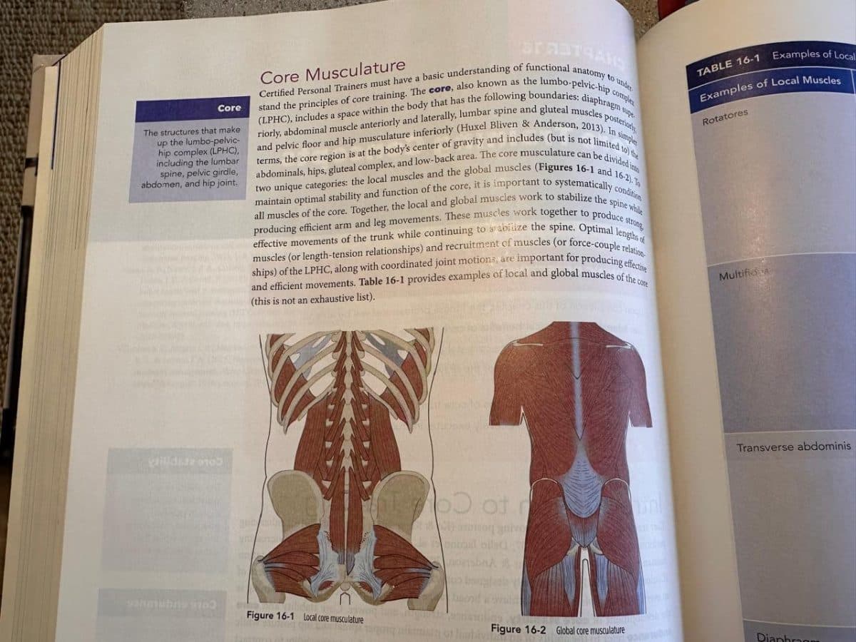The Lumbo Pelvic Hip Complex - 2025 LPHC Breakdown