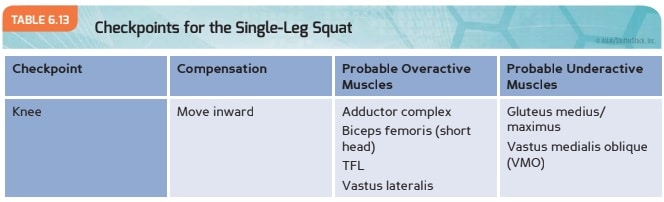 Single Leg Squat Assessment NASM Guide (2024 Breakdown)