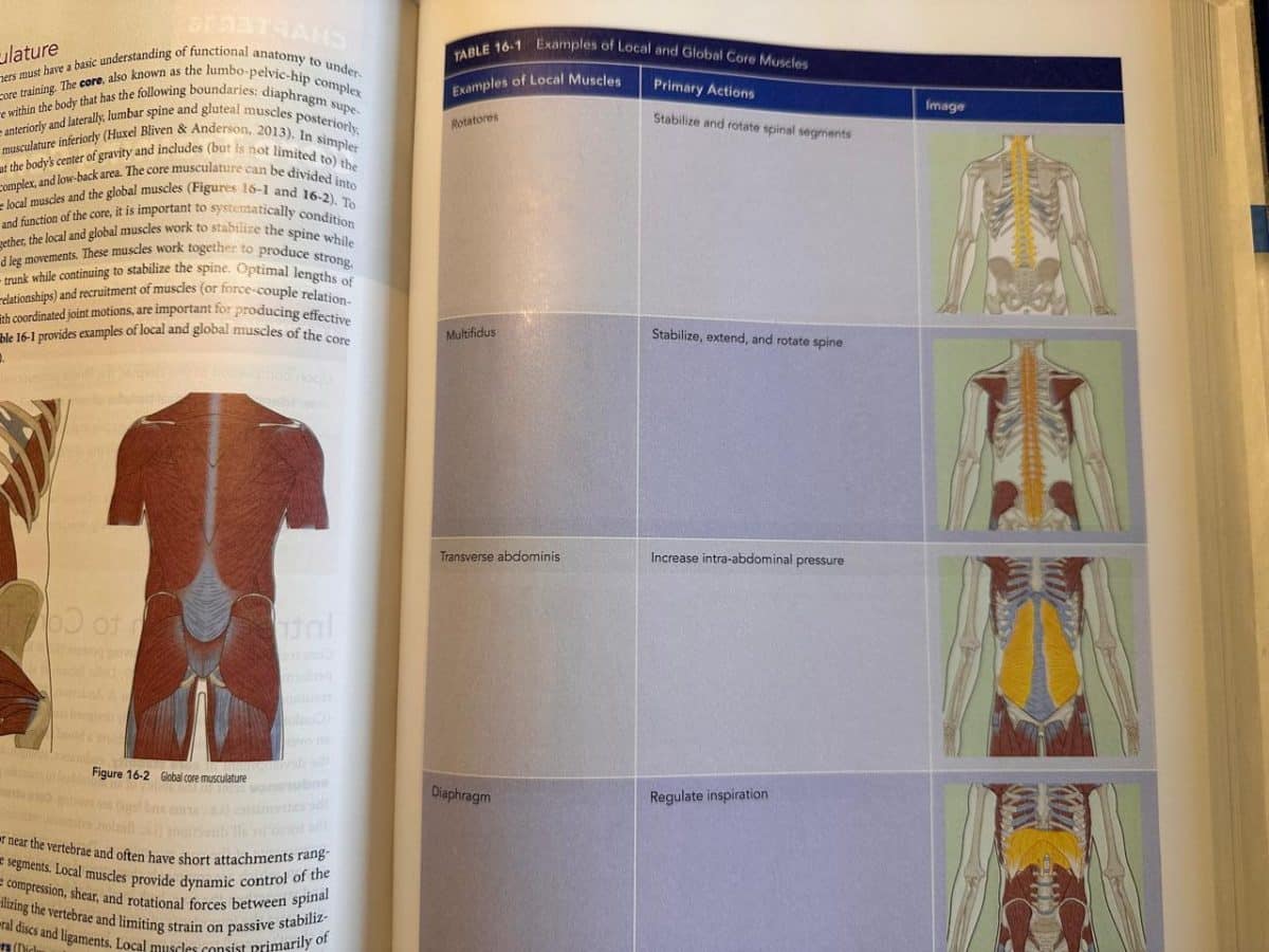 The Lumbo Pelvic Hip Complex - 2024 LPHC Breakdown