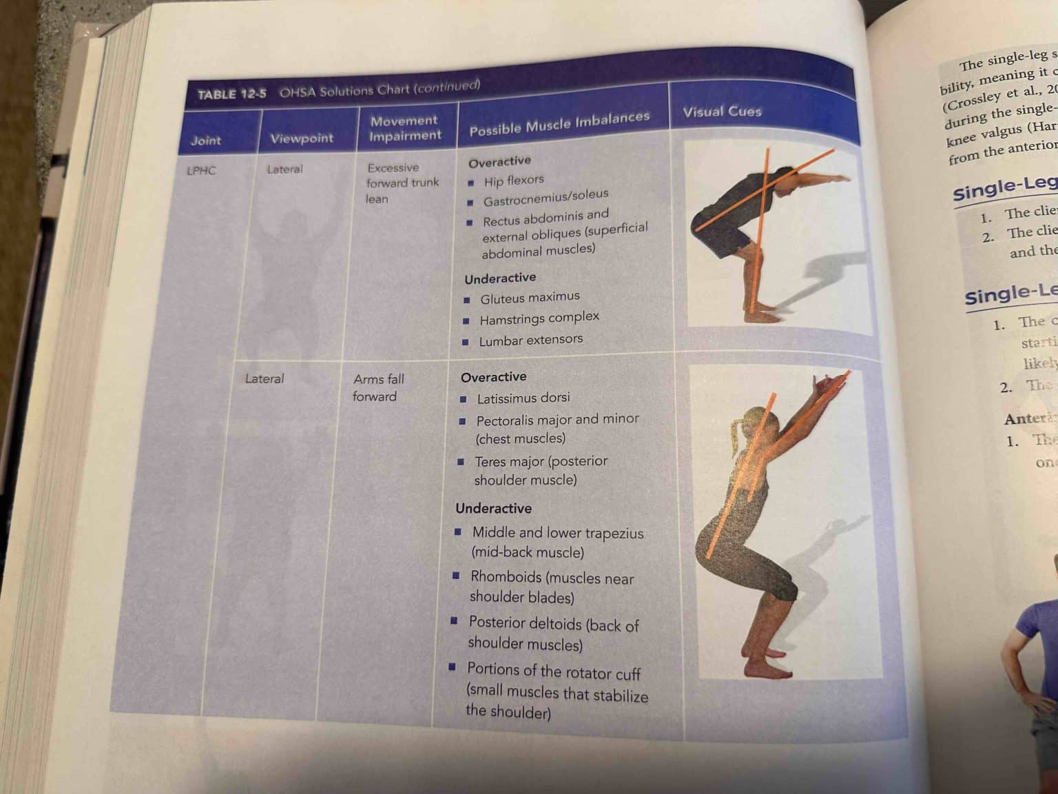 Overhead Squat Assessment - Full 2025 Breakdown