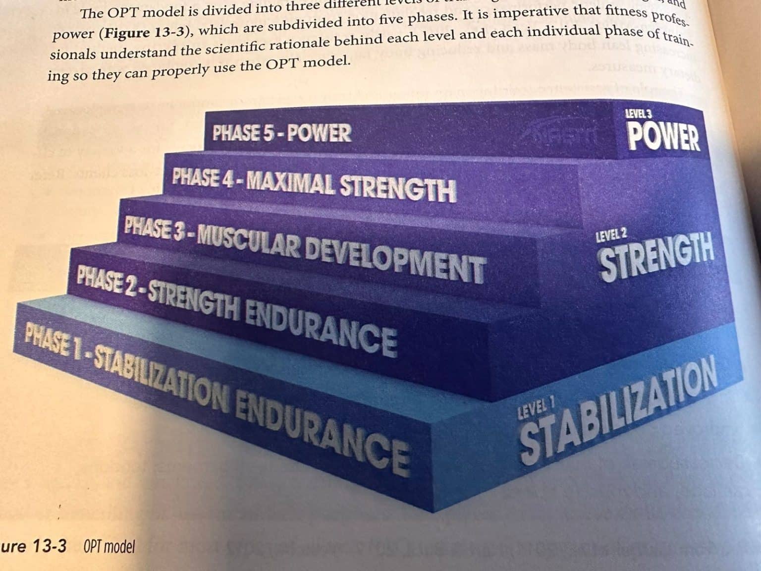 Master the NASM OPT Model in 2025: Your Ultimate Guide