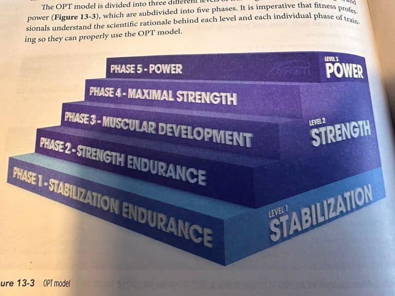 Master the NASM OPT Model in 2025: Your Ultimate Guide