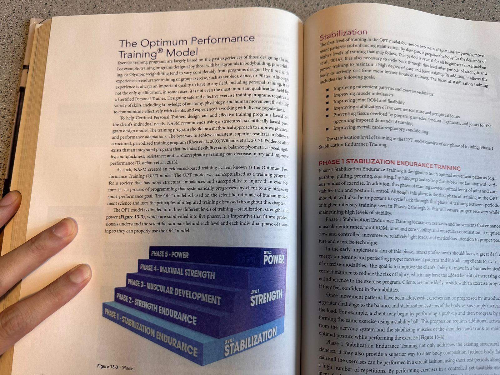 Master the NASM OPT Model in 2025: Your Ultimate Guide