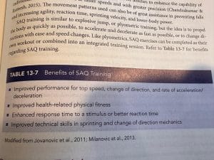 Mastering SAQ Training: Essentials in 2025