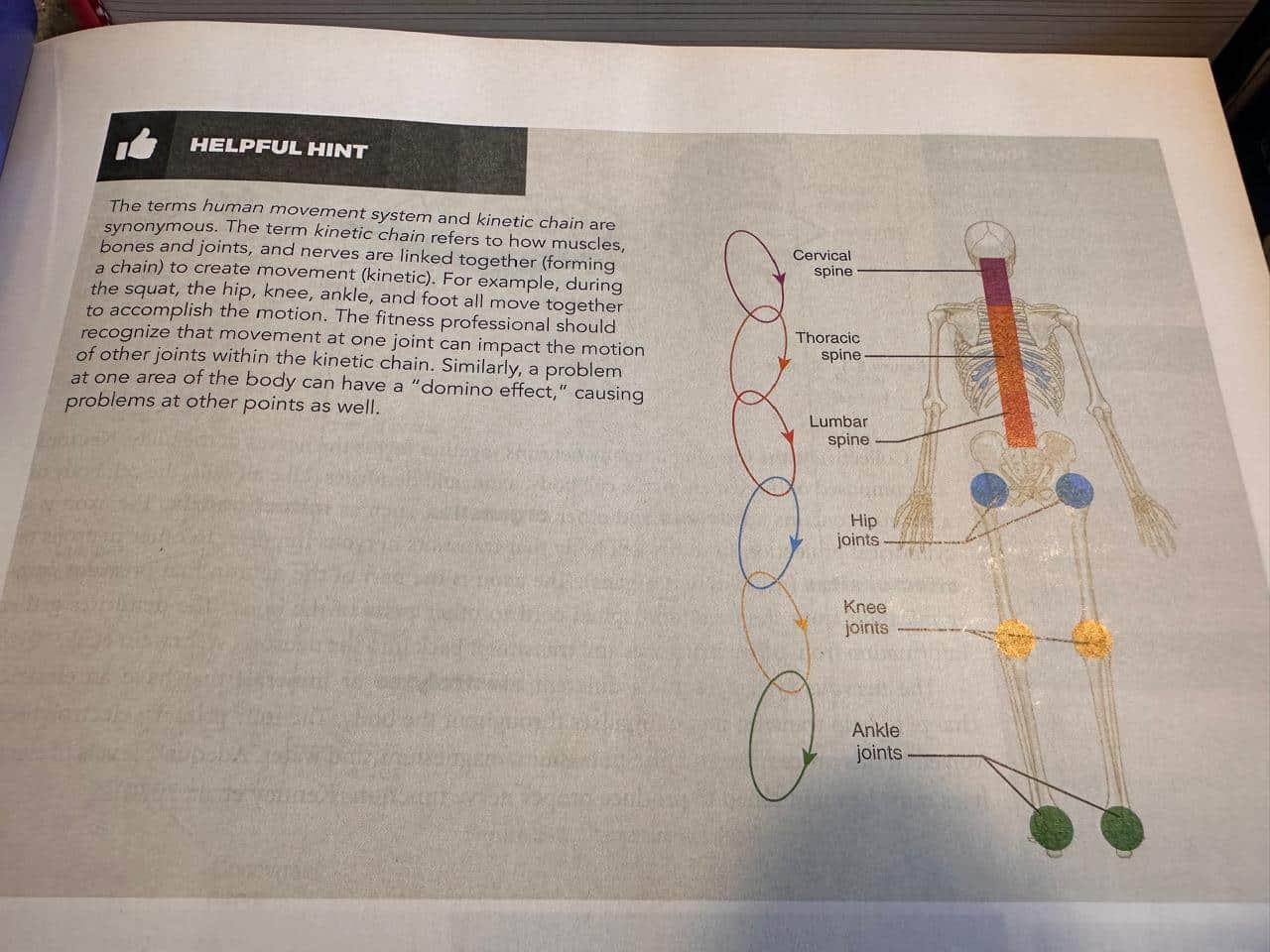 Understanding Kinetic Chain Checkpoints: NASM vs ISSA (2025)