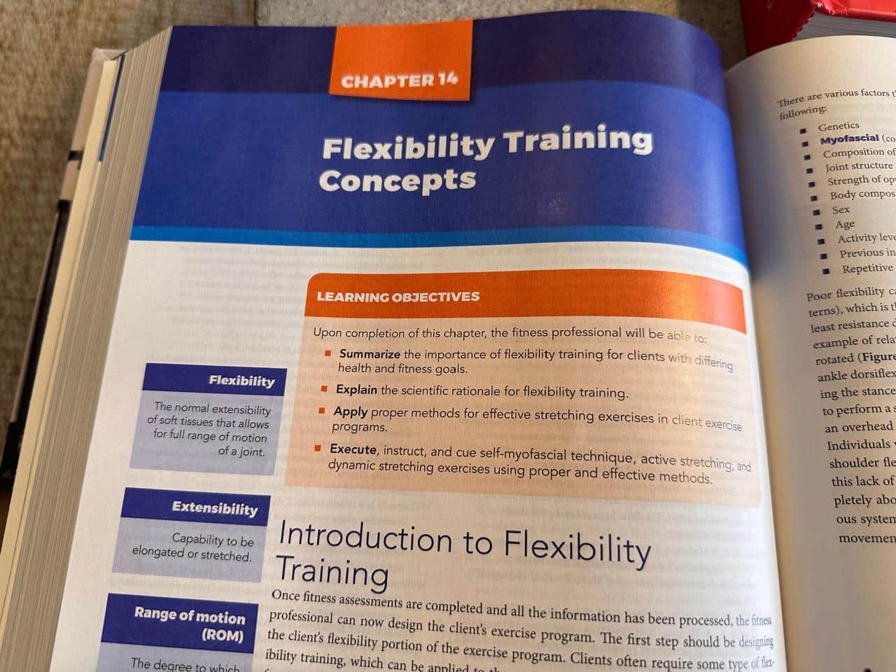 Flexibility Training for Personal Trainers: A Guide in 2024