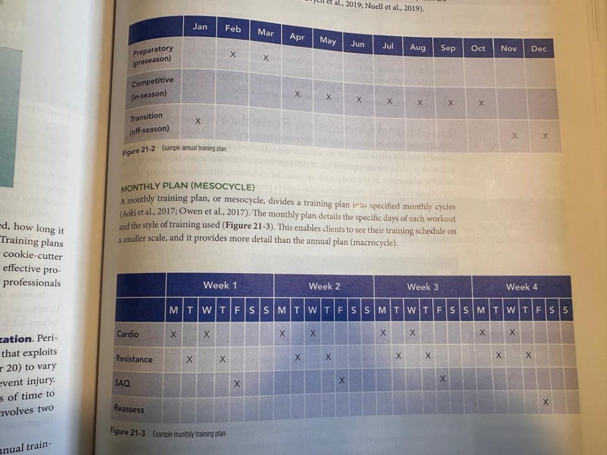 Comprehensive Guide to Periodization in 2024
