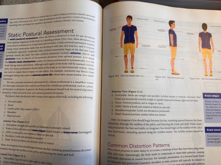 How to Conduct a Postural Assessment: A Guide (2024)